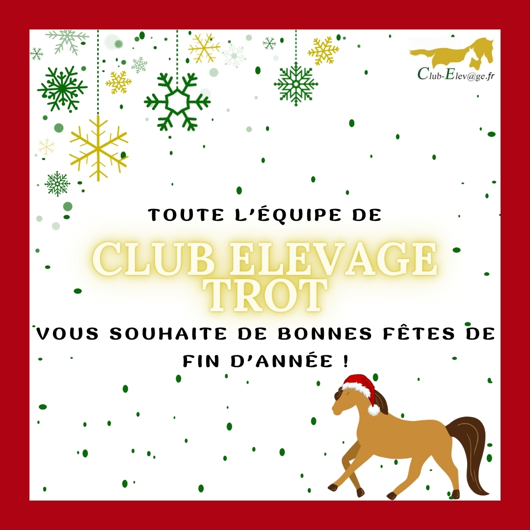 Voeux de fin d'année